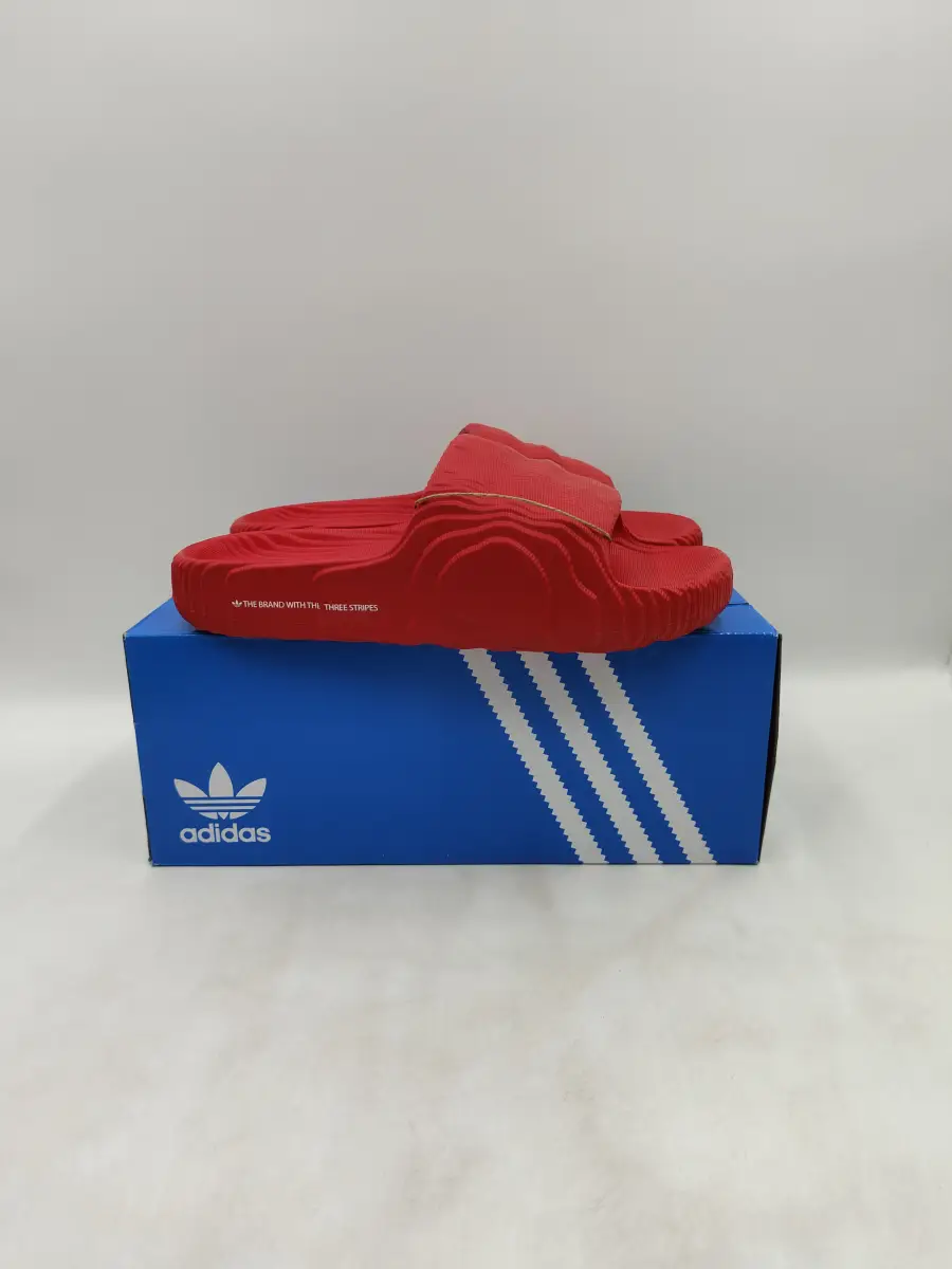 Catalog | Store Inventory - AfterMarket