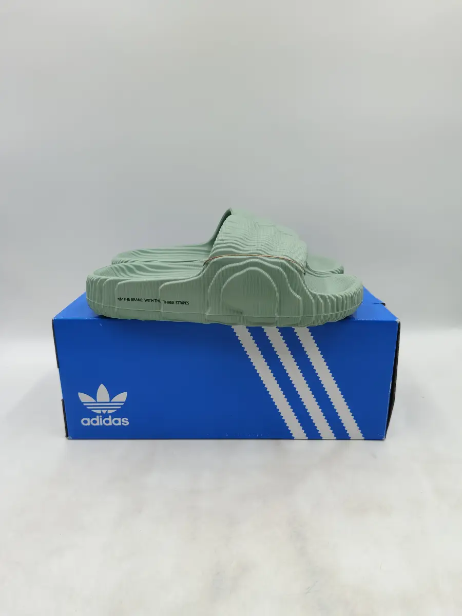 Catalog | Store Inventory - AfterMarket